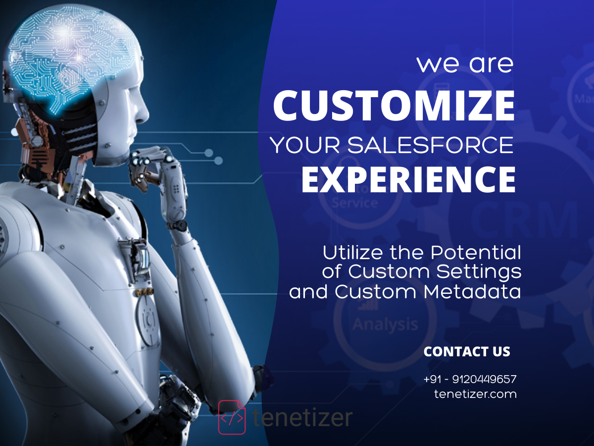 Understanding Custom Setting Custom Metadata In Salesforce Tenetizer