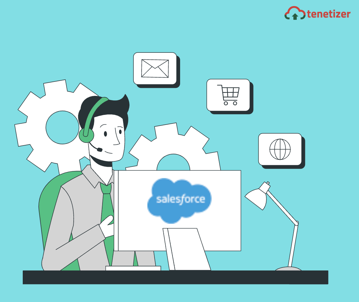 5 Practical Steps to Optimize Your Salesforce Setup & Cost - Tenetizer ...